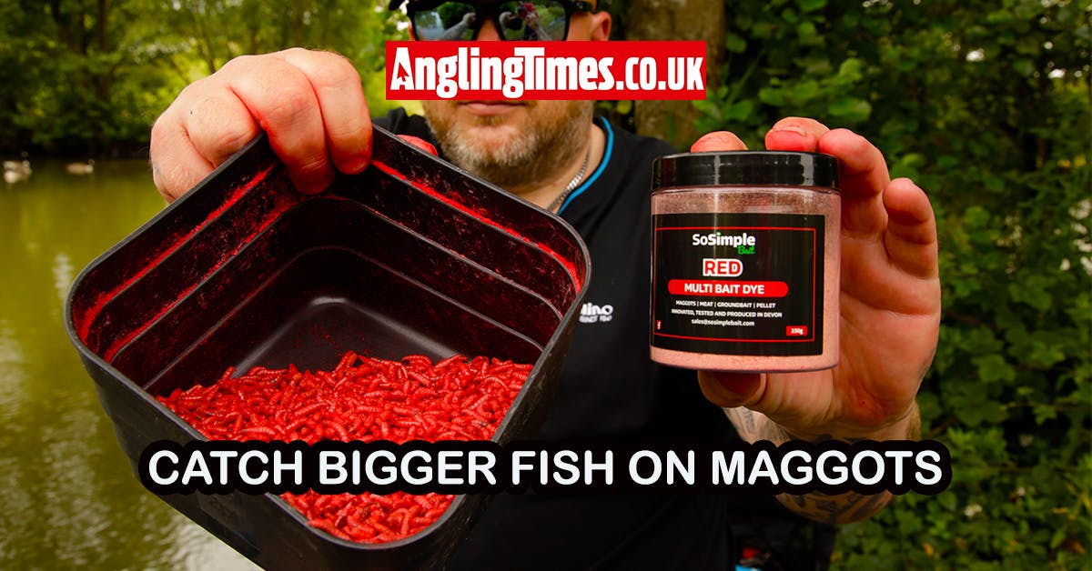 Catch bigger fish with maggots and groundbait | Angling Times