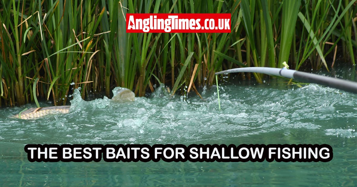 5 Best Baits for Shallow Fishing