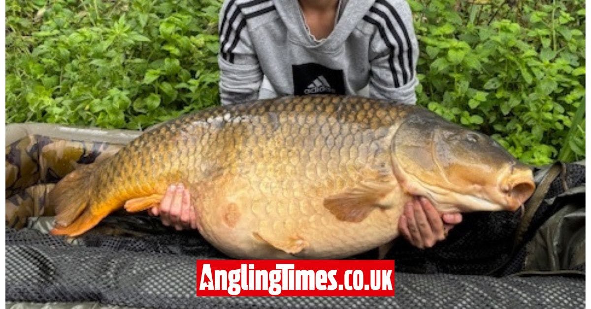 Teenager banks enormous common carp on new bait | Angling Times