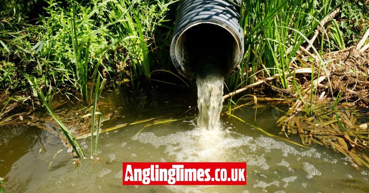 More false pollution promises or is a change in sight? | Angling Times