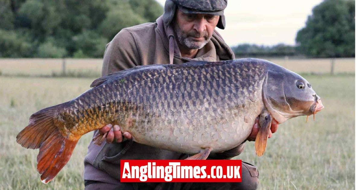 It has been an extraordinary month for river carp fishing | Angling Times