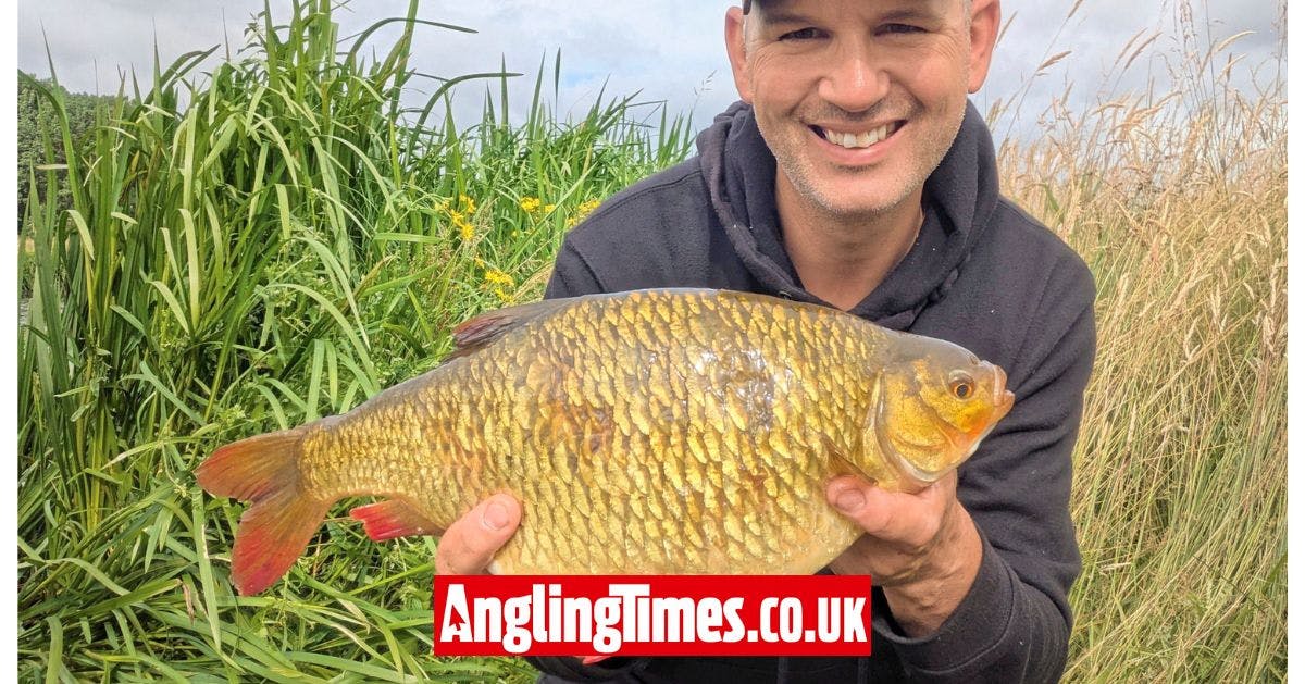 Angler waits over a decade for huge river rudd | Angling Times