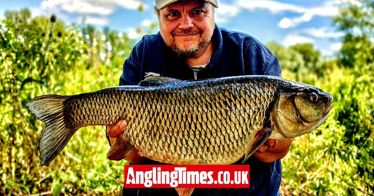 Angler catches giant chub on a lure | Angling Times