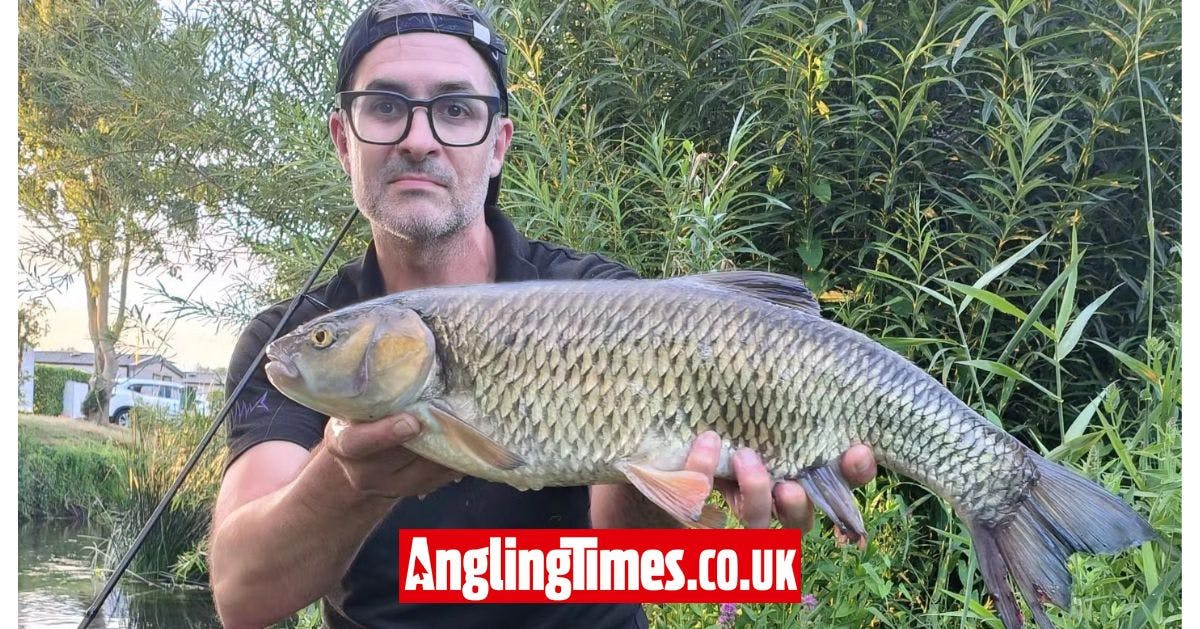 Cracking chub caught on a surface lure | Angling Times