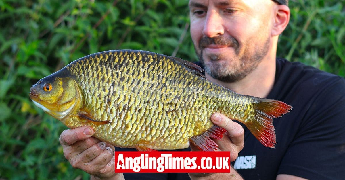 News Stories | News | Angling Times