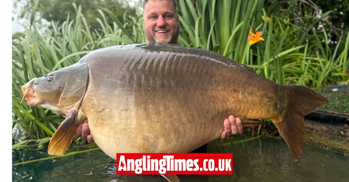 Angler banks one of the UK’s biggest carp | Angling Times