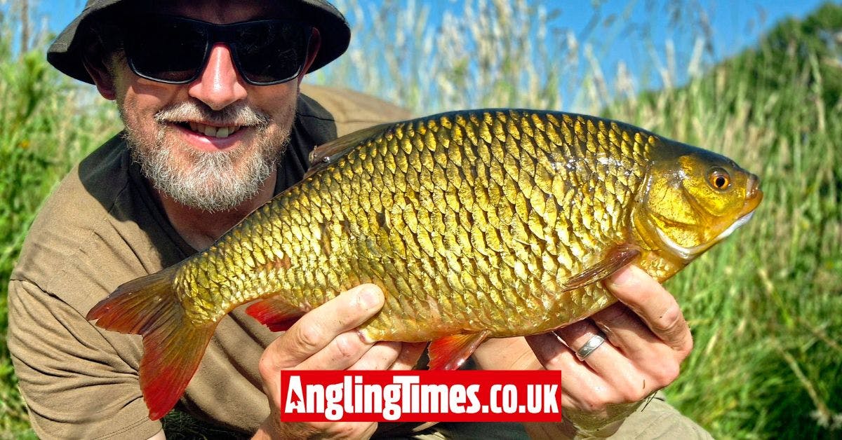 180-mile drive pays off with monster rudd | Angling Times