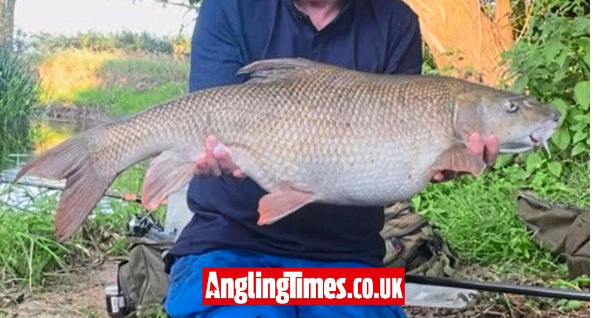Big barbel caught from tiny brook | Angling Times