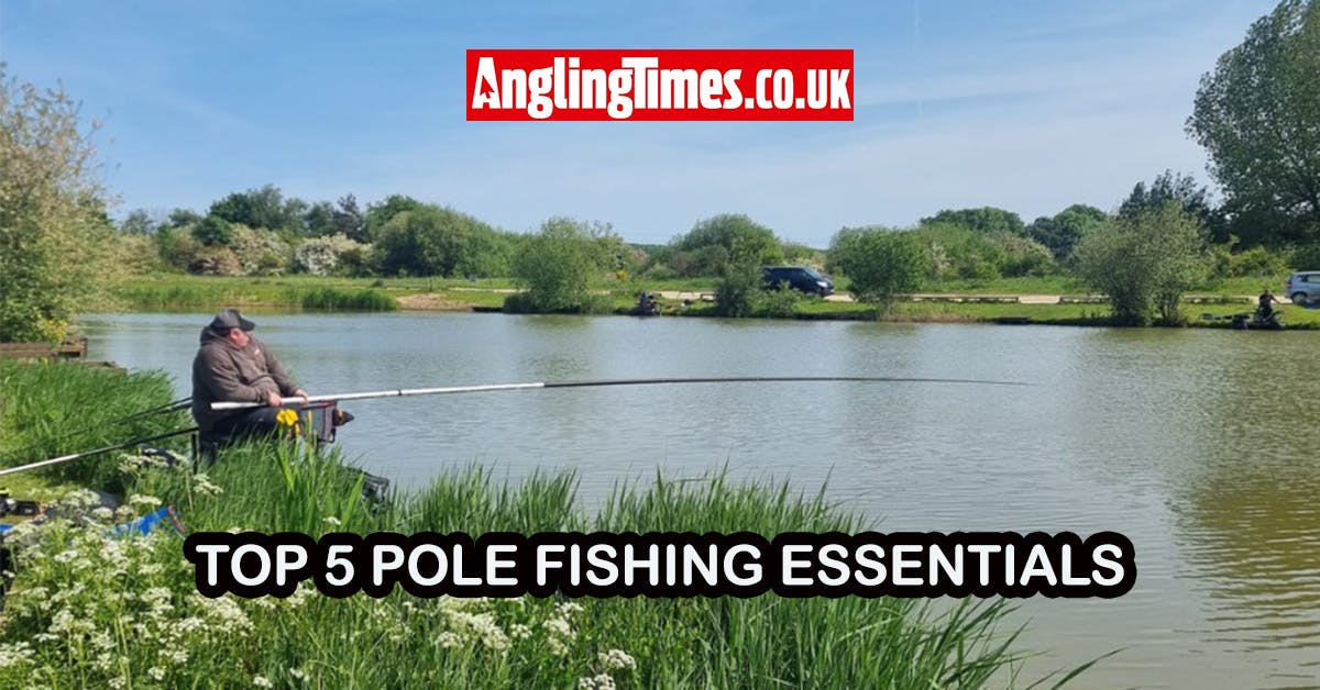 The 5 essential pole fishing accessories I couldn't fish without.