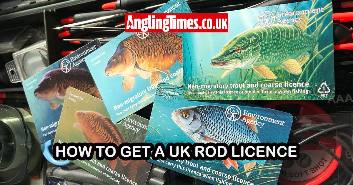 Do I need a rod license to go fishing in the UK? | Angling Times
