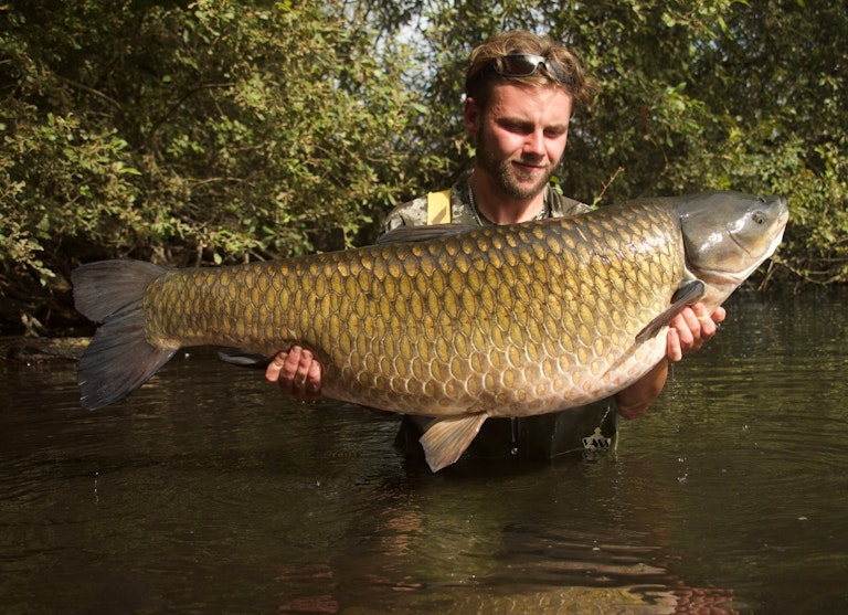 Monster grass carp is the biggest-ever banked after evading capture for ...