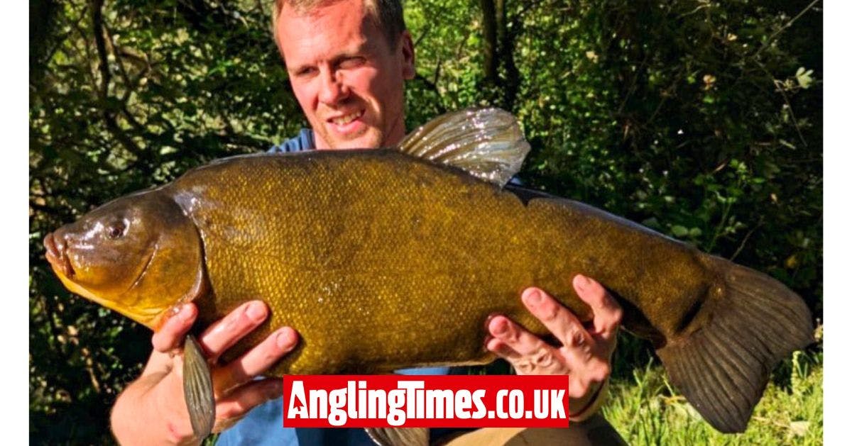 Specimen tench are still on the feed | Angling Times