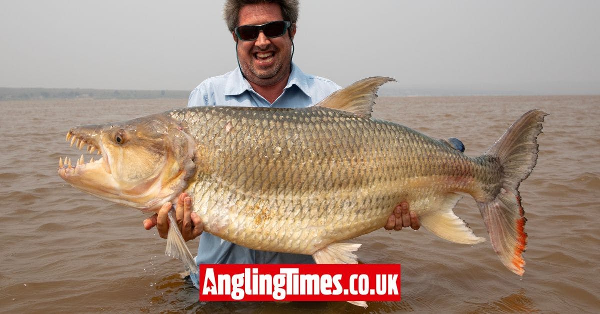 Real life river monster banked in unforgettable capture