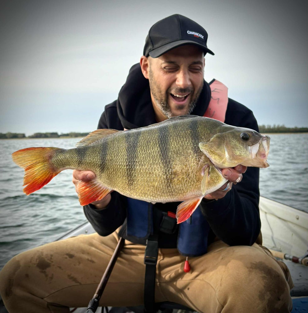 Quest for massive perch ends with enormous brace | Angling Times