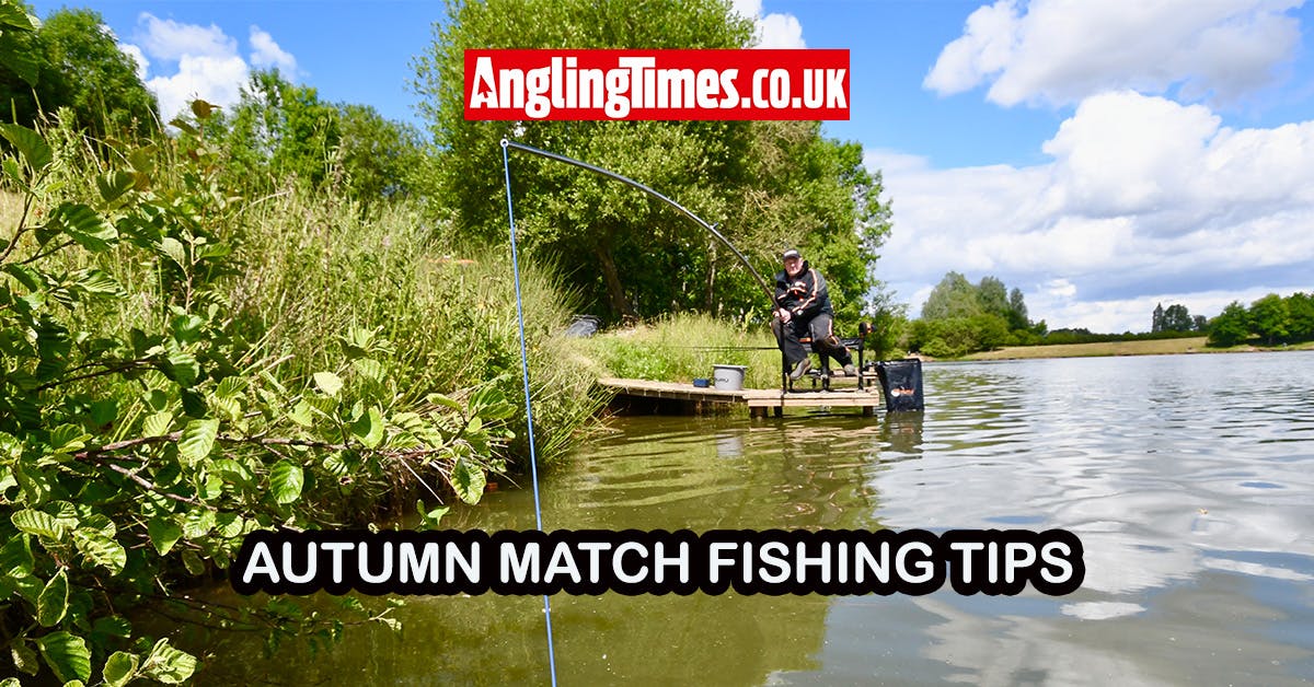 6 match fishing tips to catch more this autumn | Angling Times
