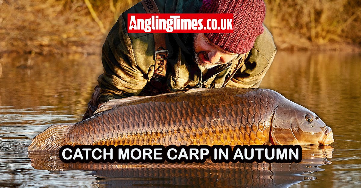 Change tactics to catch more autumn carp | Adam Penning | Angling Times