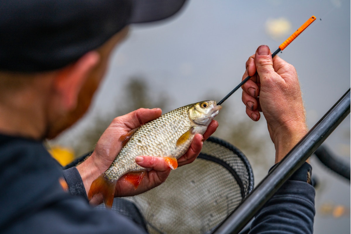 6 match fishing tips to catch more this autumn | Angling Times