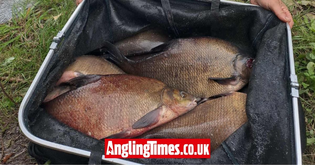 Near-300lb bream bag smashes River Thames record | Angling Times