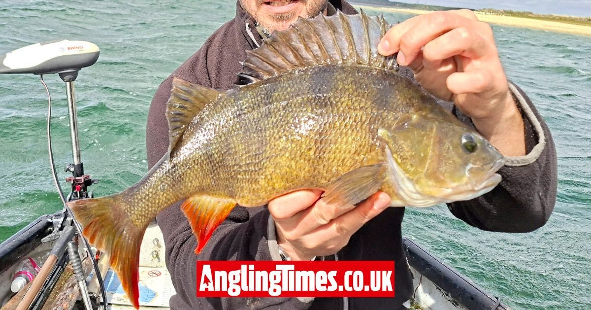 Epic 1500-mile trip nets angler a huge perch | Angling Times