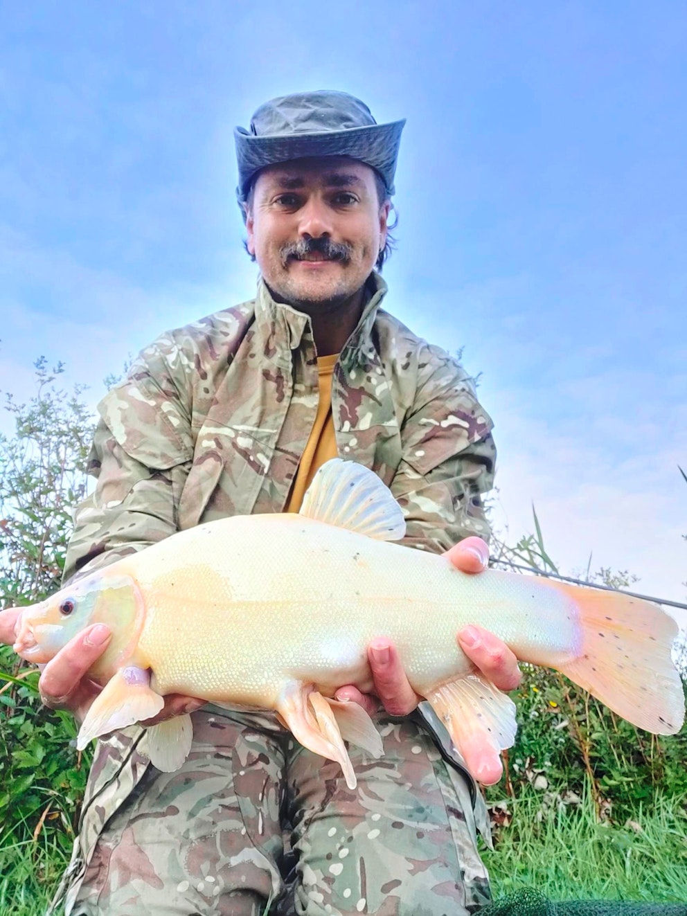 One of the rarest varieties of tench has been caught | Angling Times