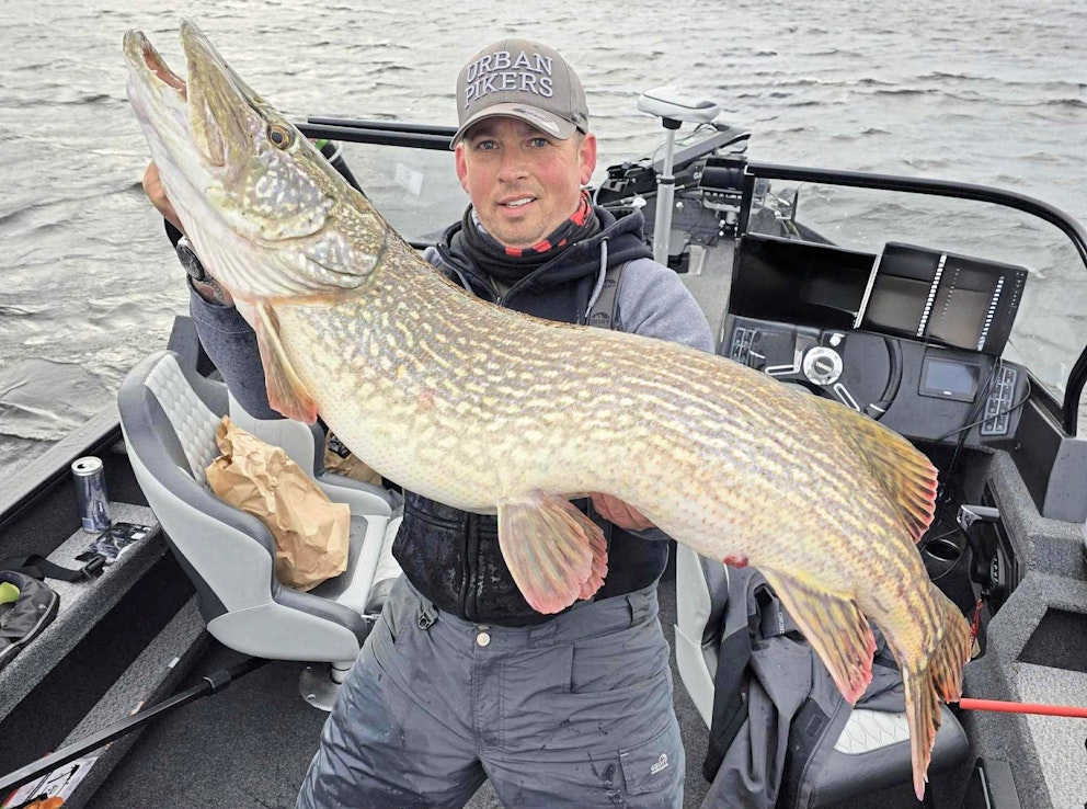 Foot-long lure fools equally massive Irish pike | Angling Times