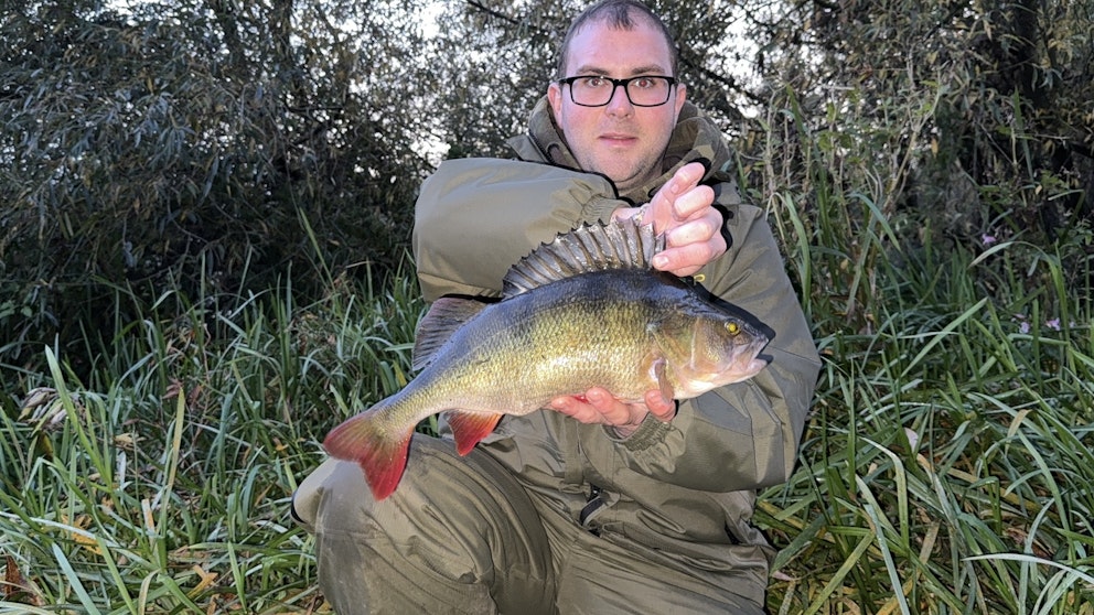 Personal best smashed with cracking river perch | Angling Times