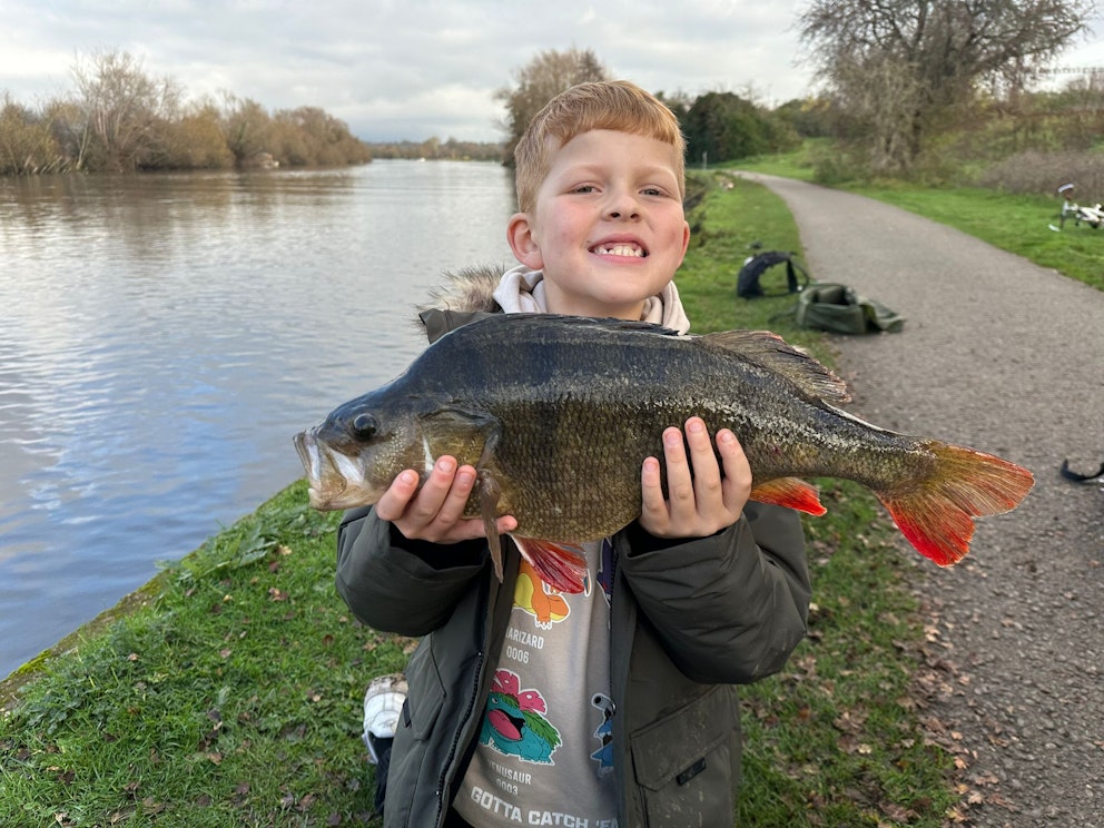 Child lands monster Thames perch on first fishing trip | Angling Times