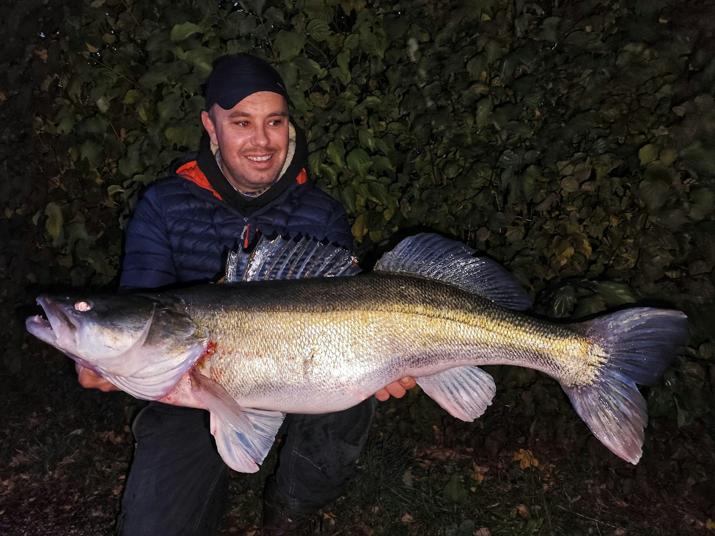 Giant canal zander is the biggest ever caught | Angling Times