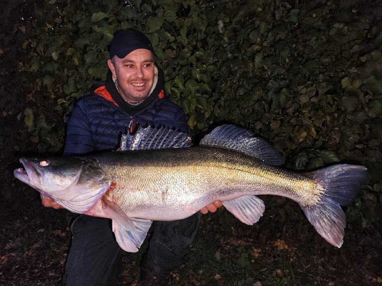 Giant canal zander is the biggest ever caught | Angling Times