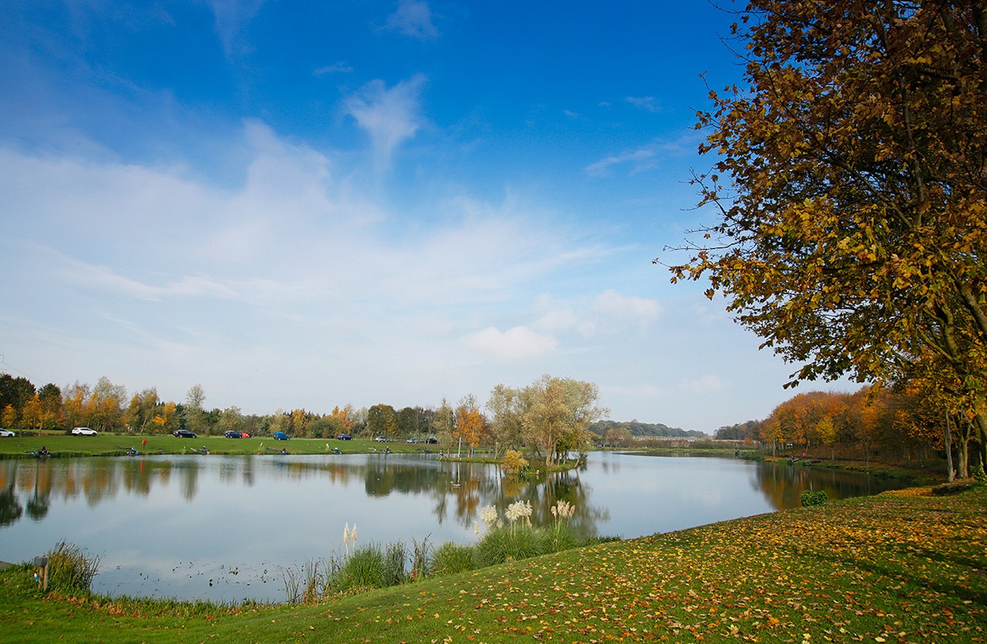 National Angling Awards 2025 | Fishery of the Year | Angling Times