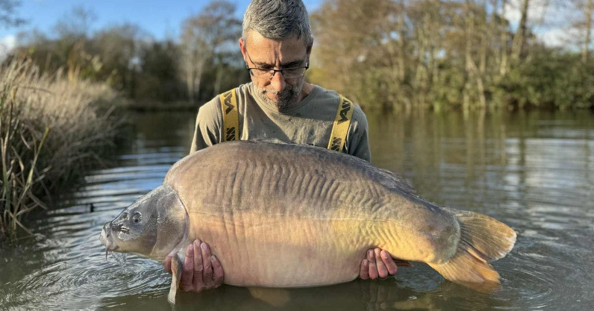 Record-breaking carp makes history in Devon | Angling Times