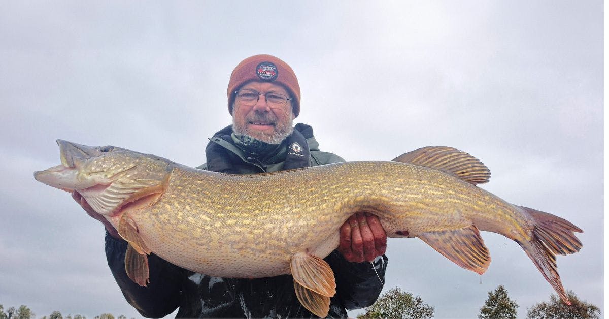 Irish trout lough produces enormous pike | Angling Times