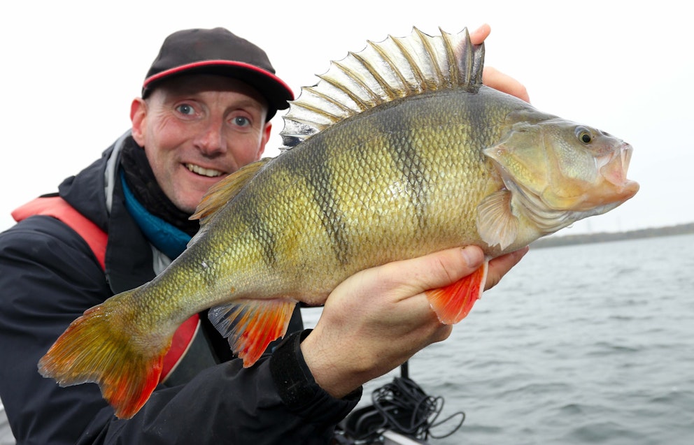 Try micro lures for big perch | Angling Times