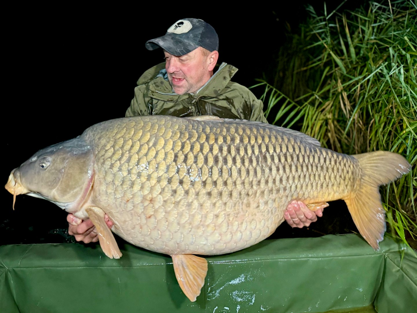 One of the world’s biggest carp has been caught | Angling Times