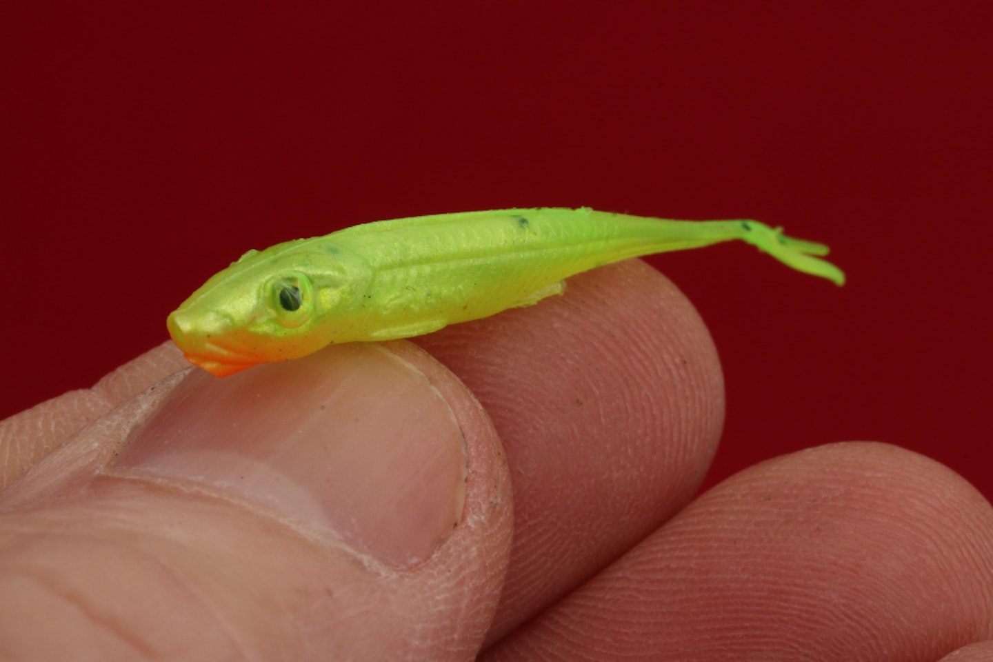 Try micro lures for big perch | Angling Times