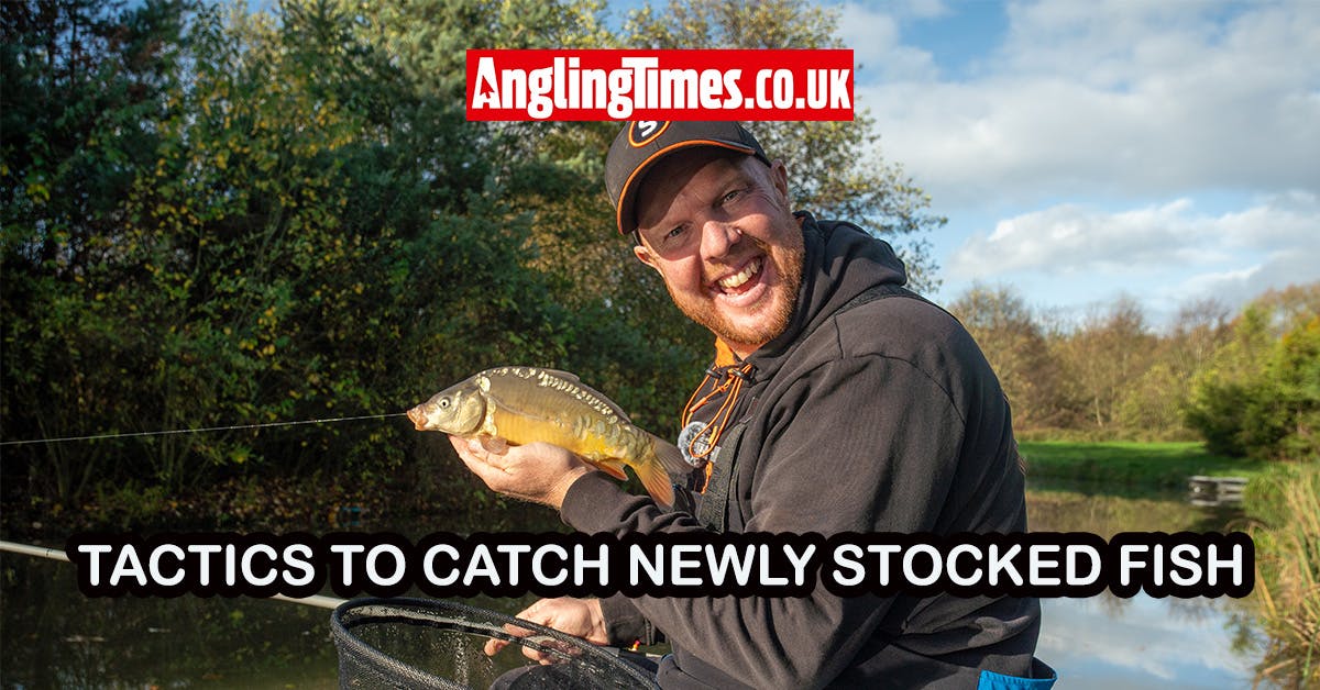 How to catch newly stocked F1s and carp on commercials | Angling Times