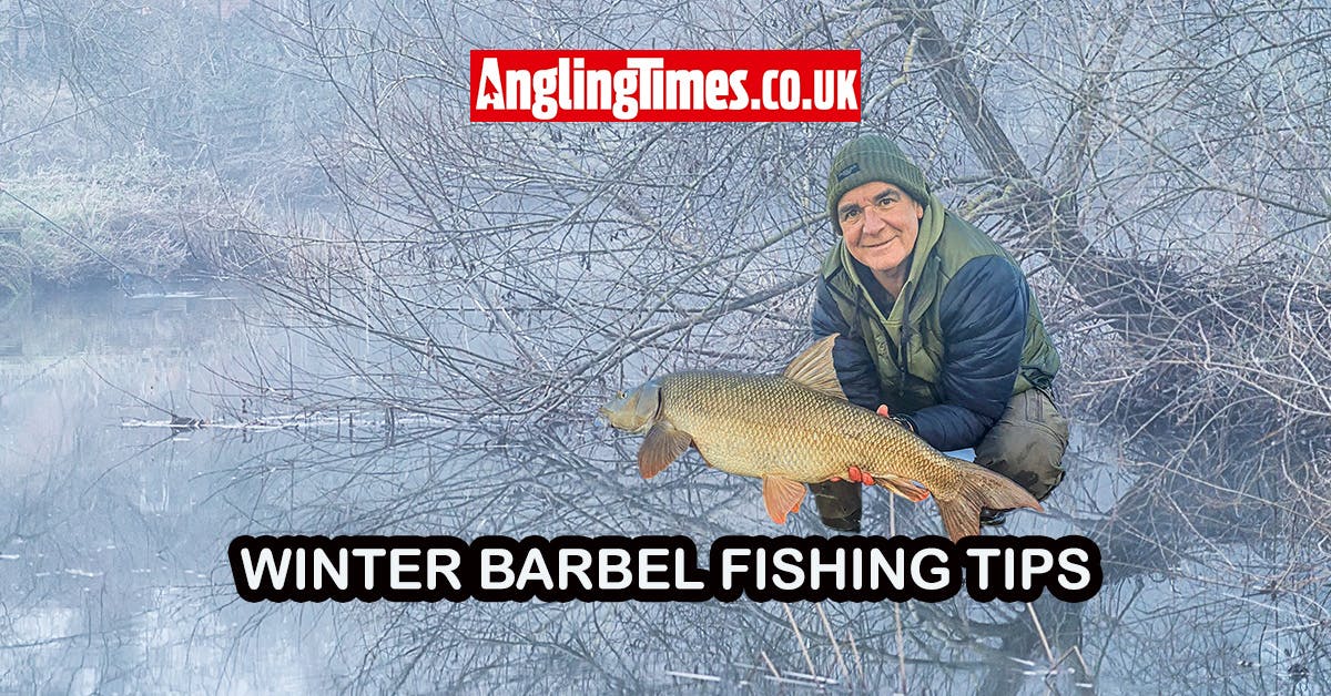 How to catch a big barbel on the feeder this winter | Angling Times
