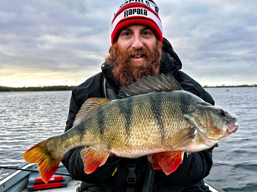 Angler pours heart and soul into catching exceptional perch | Angling Times
