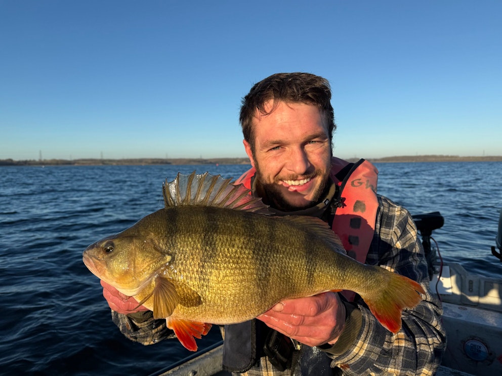 Third 5lb perch seals incredible angling hat-trick | Angling Times