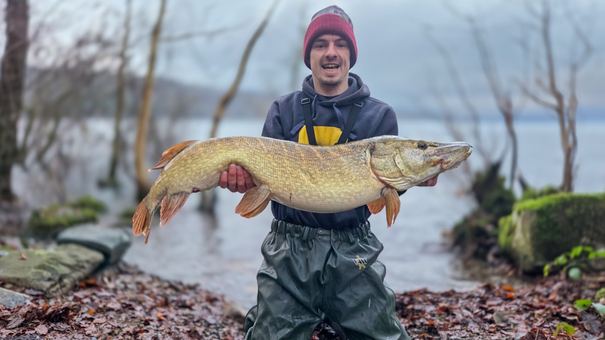 Huge pike caught from Lake Windermere | Angling Times