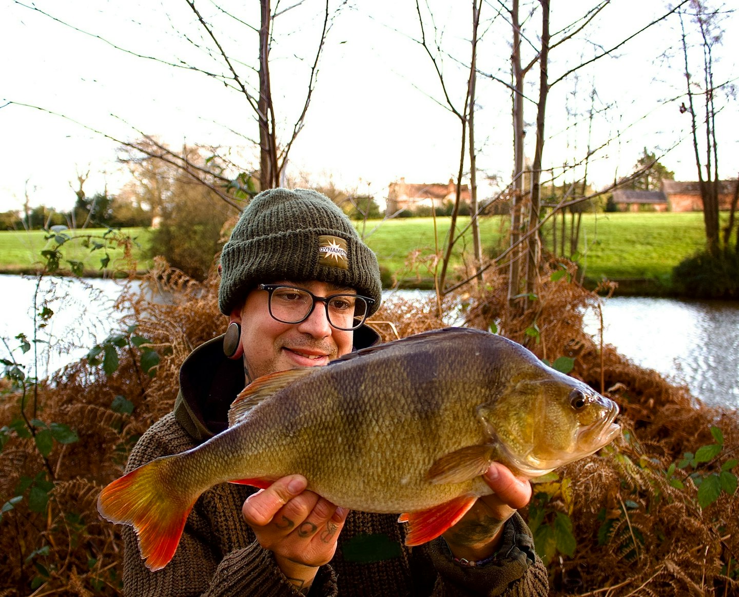 Angler turns to prawns to bank superb perch | Angling Times