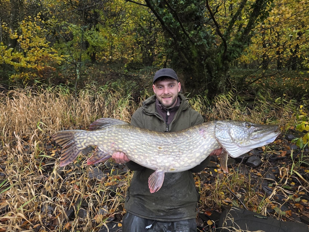 Age-old tradition rewards brothers with superb pike session | Angling Times