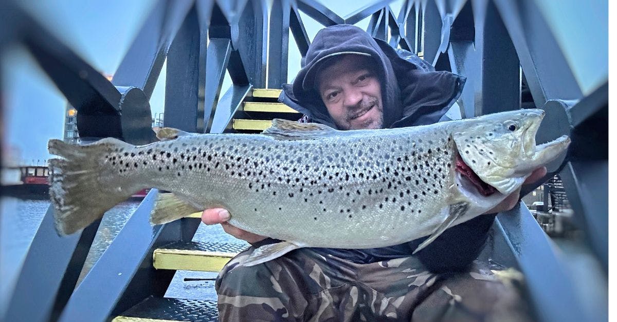 Unexpected fish caught from London Docks