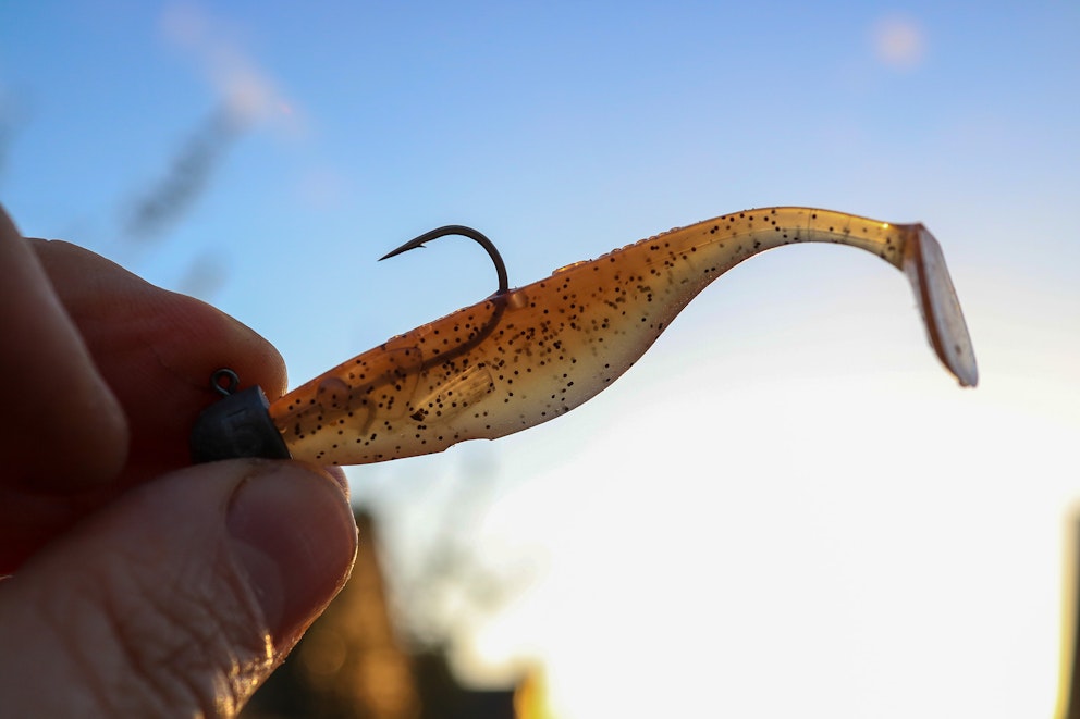 Why lures work so well for perch