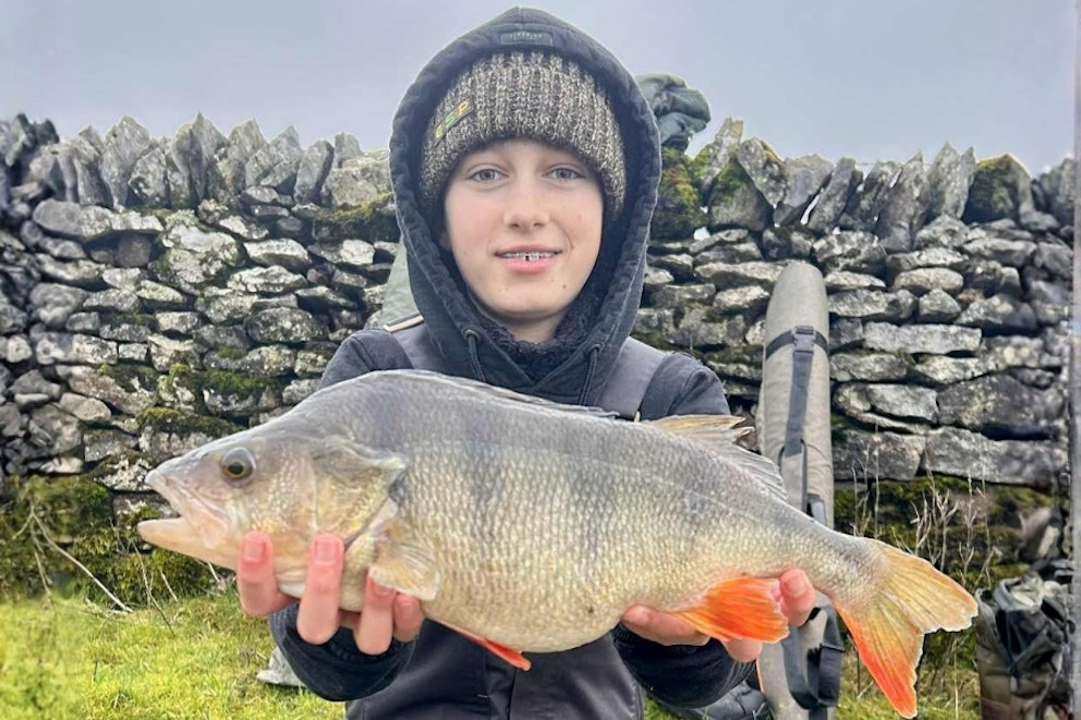 Big perch tops 30-minute frenzy for father and son | Angling Times