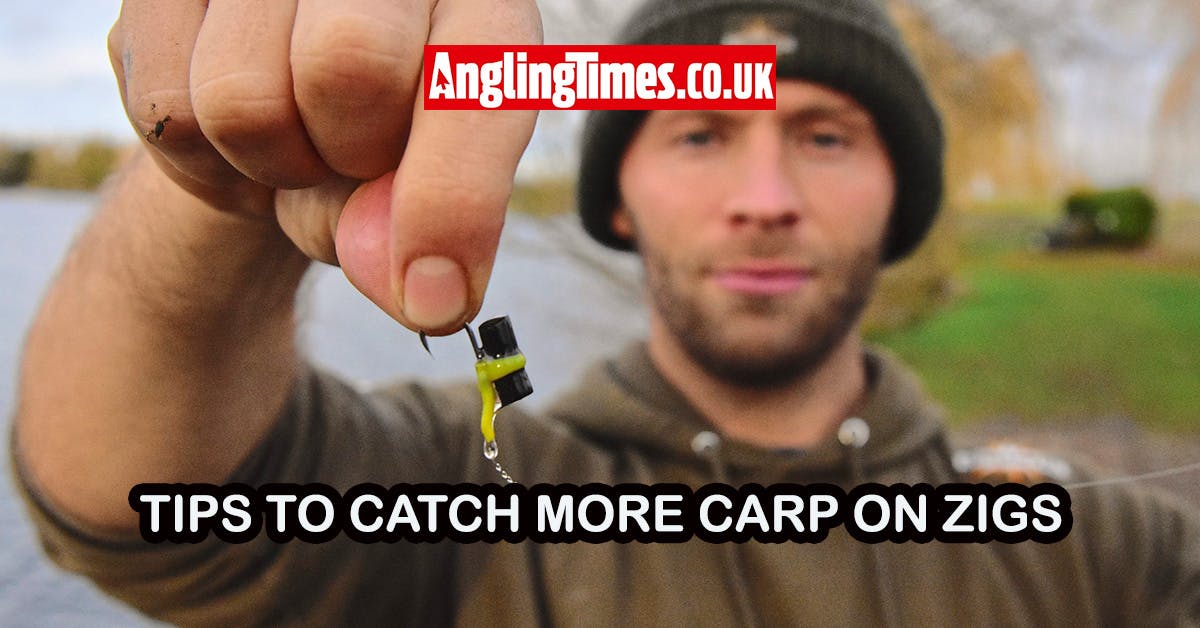The do’s and don’ts of zig fishing for carp | Angling Times