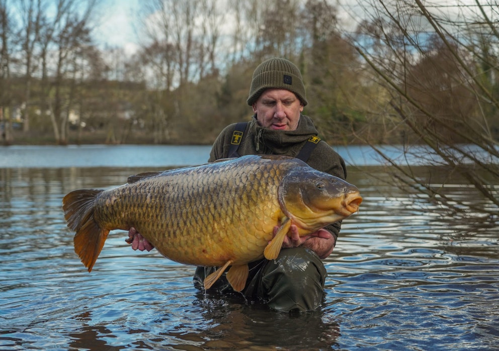Angler catches the UK's largest common carp