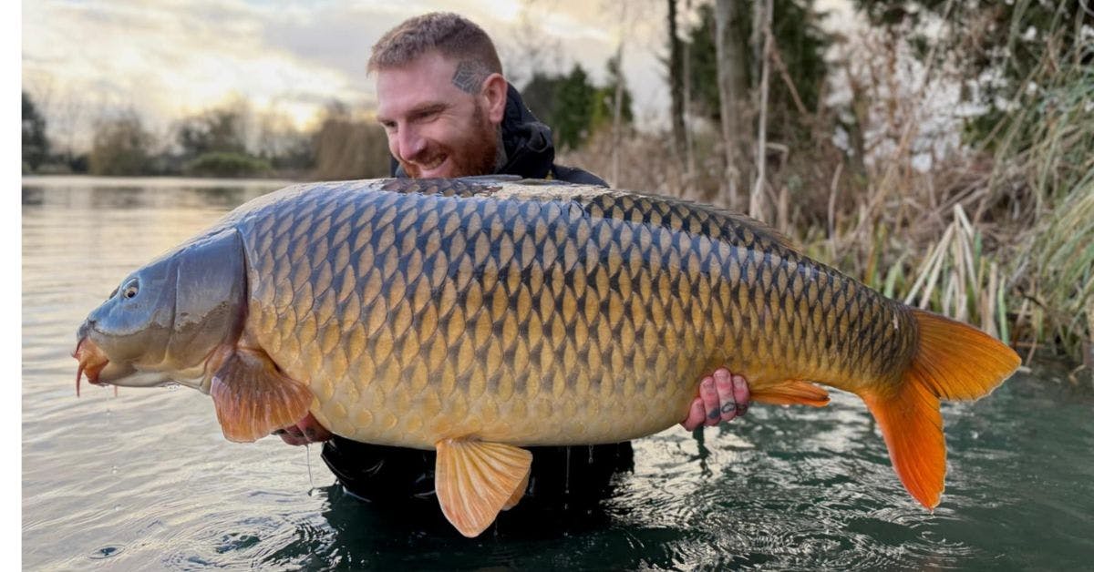 Enormous day-ticket carp among UK’s biggest ever