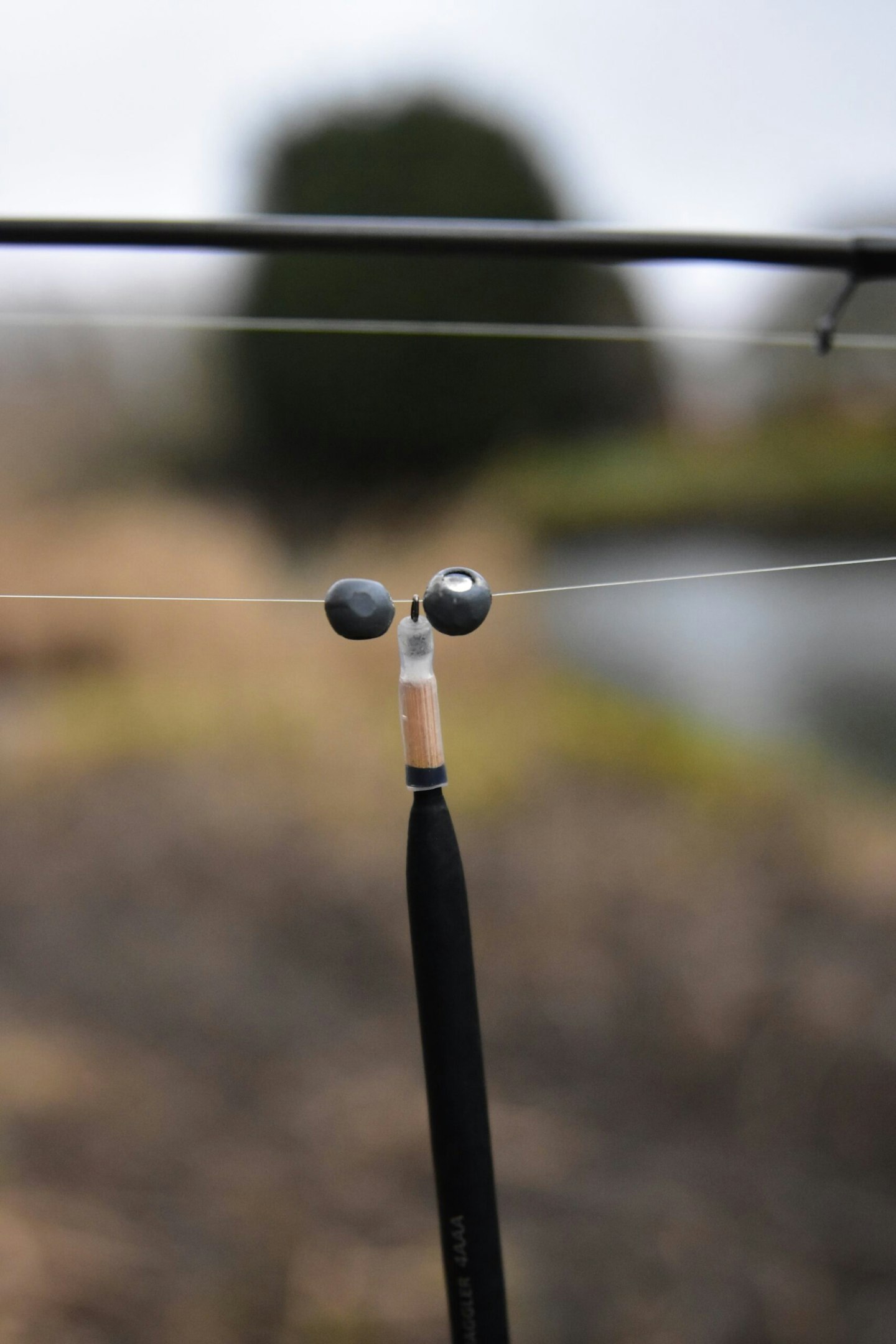 Try this simple waggler setup to catch more fish