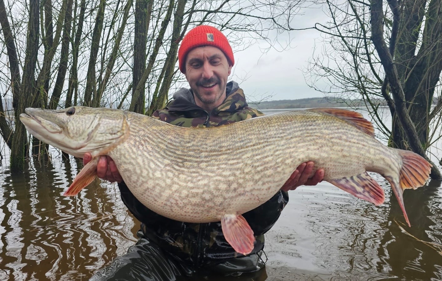 70lb of pike from just two bites